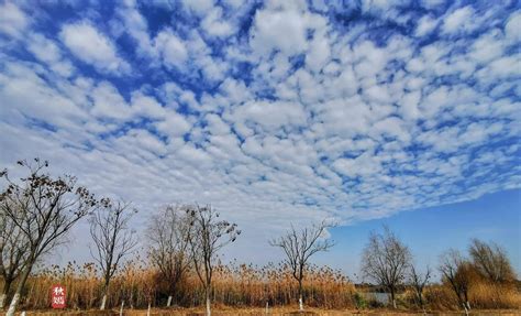 常熟这座免费湿地公园自然风光秀美腊味飘香农家菜美味可口 南湖 秋嫣 旅行
