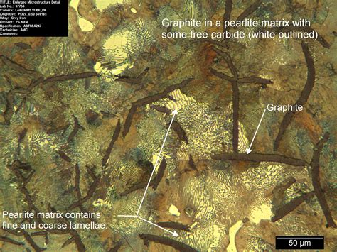 Microstructure Of Steels And Cast Irons Engineering M