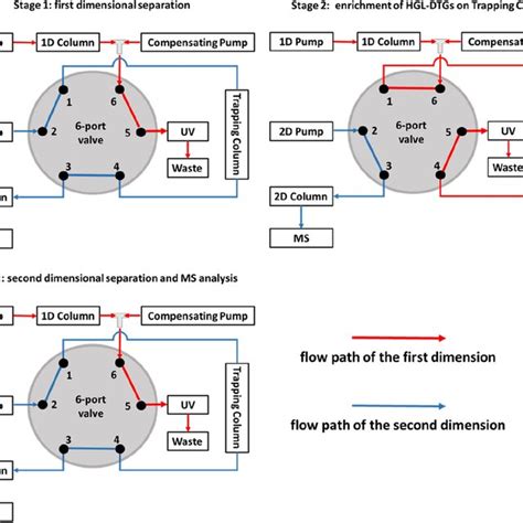 Schematic Diagram Of The Analysis Process In The 2d Lc Ms Ms System