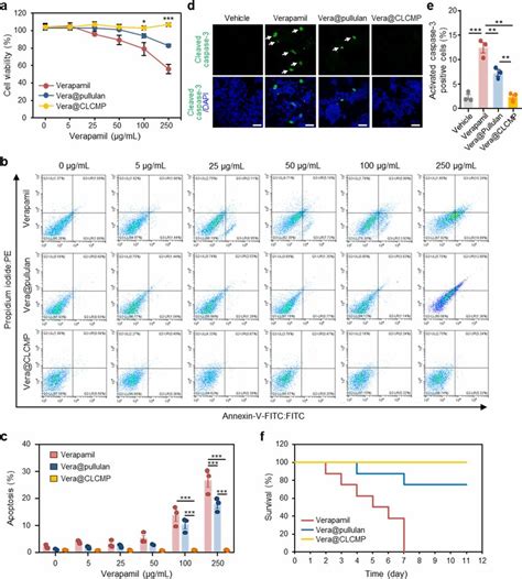 In Vitro And In Vivo Toxicity Of Verapullulan And Veraclcmp Patches
