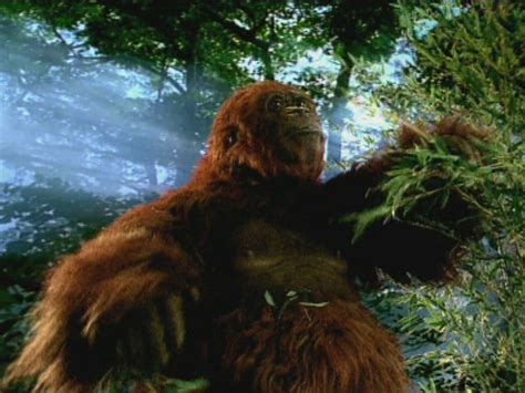 Gigantopithecus Walking With Wikis Fandom Powered By Wikia