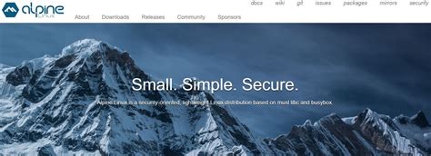 Alpine Linux Shows Signs Of RISC V Architecture Support