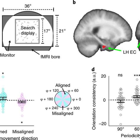 Visual Grid Like Representation In Human EC A Left Example Square Download Scientific Diagram