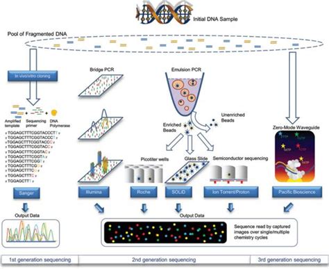 微观探索人体奥秘 038 单细胞测序——测序流程 知乎