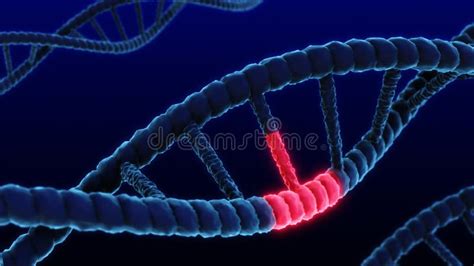 Mutated Dna And Molecules Scientific Biotechnology Stock Illustration
