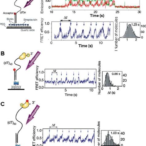 9 Single Molecule Fluorescence Resonance Energy Transfer Fret