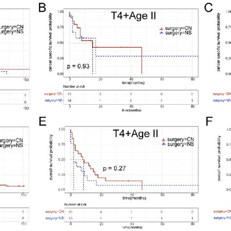 Kaplan Meier Survival Curve Os And Css Between Cn Group And Ns Group