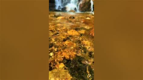 හිත නිවන ලස්සන රූප 💧💚 Travelling Srilanka Nature Photography Videography Travelceylon