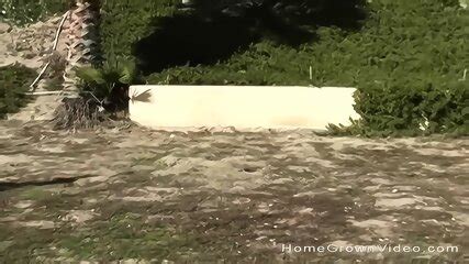 Homegrown Big Tits Velicity Von Reno