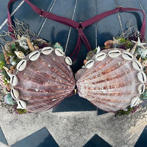 Seashell Bra Etsy