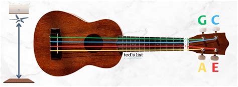 The Ultimate Guide To Finding The Best Ukulele Strings Teds List