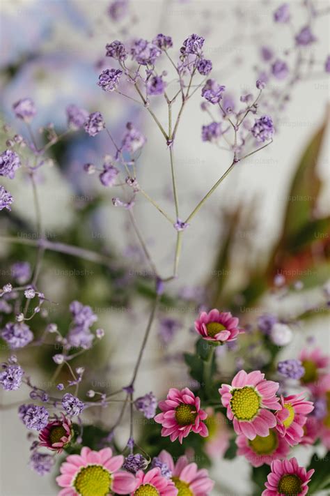 나무 테이블 위에 앉아 있는 꽃으로 가득 찬 꽃병 사진 Unsplash의 꽃 이미지