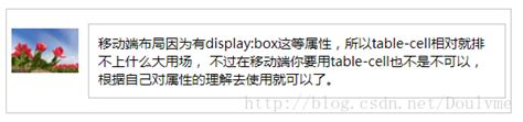 display table 使用小结 display table csdn博客