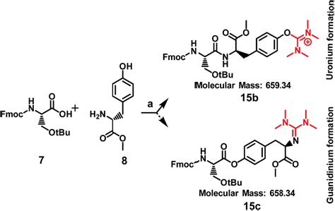 Dcc Peptide Coupling Brain Mind Article