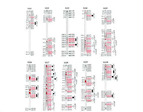 Qtl Mapping Of Yield Traits In F 2 Population Of Sorghum Sudangrass Download Scientific Diagram