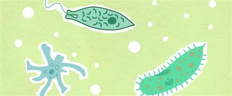 常见制剂以及基于剂型原料药cqas设定的一般考虑 知乎