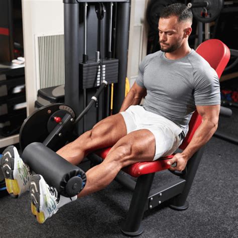 Seated Leg Curl Alternative