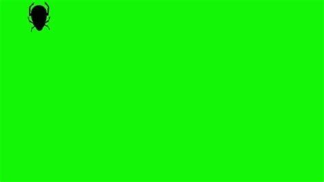 Bug Walking Animation On Green Screen Ch Stock Video Pond