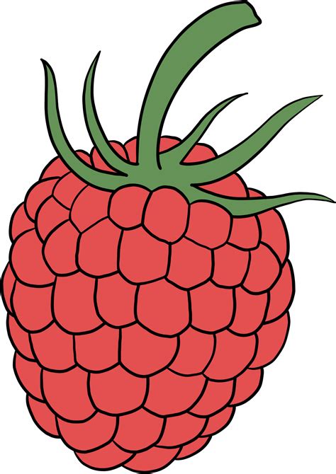 Doodle Freehand Outline Sketch Drawing Of Raspberry Fruit 11886983 Png