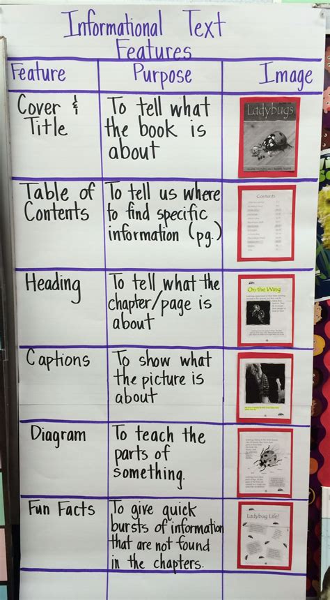 Text Features Chart That Amy Did With Her 2nd Graders At Barton Hill Nonfiction Text Features