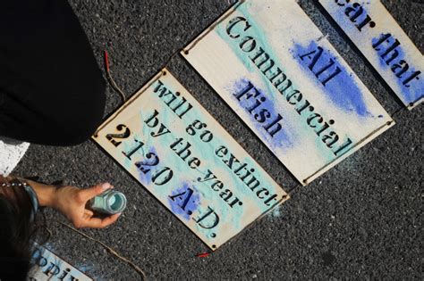 109 Feminist Data Visualization With Catherine Dignazio Data Stories