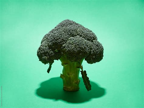 Broccolli By Stocksy Contributor Edward Fury Stocksy