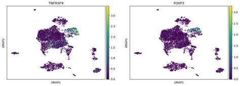 单细胞转录组实战03 使用celltypist注释细胞 知乎