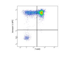 Annexin V Apc Apoptosis Detection Kit