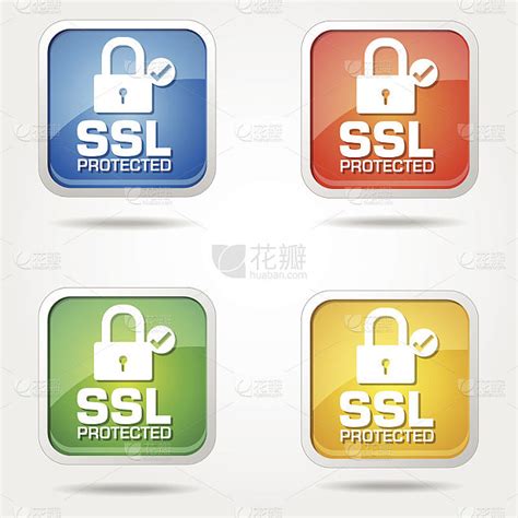 SSL保护彩色矢量图标设计