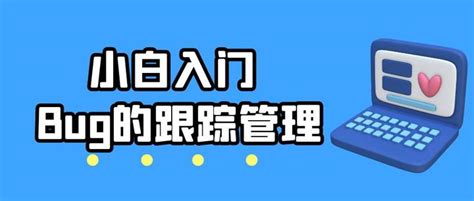小白入门 Bug的跟踪管理 知乎