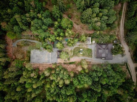 Cabana Din Padurea Belis Si Casuta Din Copac، كلوي نابوكا أحدث أسعار 2024