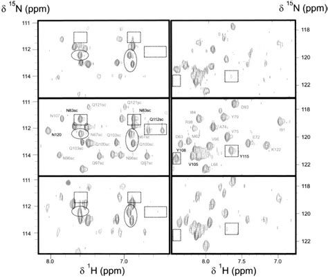 Dna Binding Induces The Same Oligomerization Process Detected At High