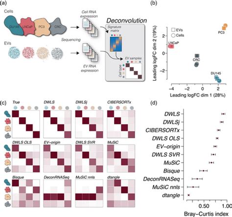 Benchmarking Transcriptome Deconvolution Methods For Estimating Tissue