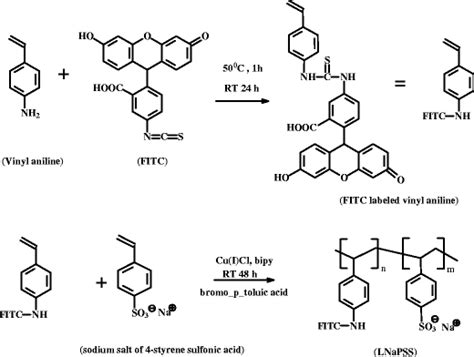 Synthetic Scheme For The Synthesis Of Fluorescent Polystyrene Sulfonate Download Scientific