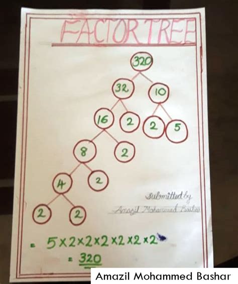 Free Factor Tree Activity Download Free Factor Tree Activity Png Images Free Worksheets On