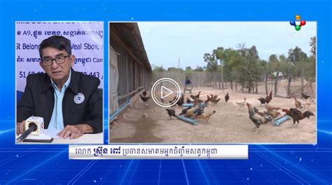 ពេលអាកាសធាតុត្រជាក់ សូមប្រុងប្រយ័ត្នសុខភាពសត្វចិញ្ចឹម Pnn ព័ត៌មាន