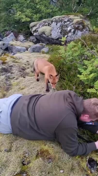 Adam Treasure On Linkedin So Curious 😍