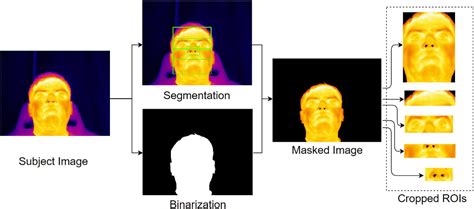 Figure 3 From Detection And Recognition Of Driver Distraction Using