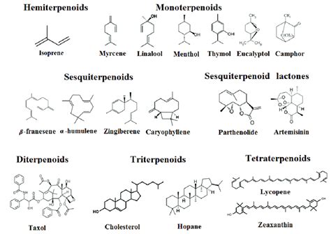 Kimia Bahan Alam Keragaman Dan Keunikan Struktur Terpenoid