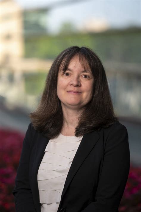 Mikala Egeblad Ph D Department Of Cell Biology At Johns Hopkins University School Of Medicine