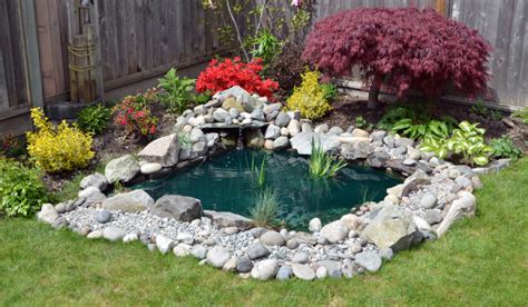 Easy Diy Backyard Duck Pond Building Guide The Homebody Living