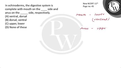 In Echinoderms The Digestive System Is Complete With Mouth On The Side And Anus On The