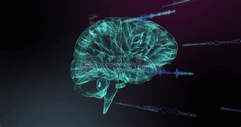 Animation Of Digital Data Processing Over Human Brain Stock Footage