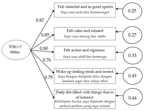 Translation And Validation Of The Malay Version Of The Who 5 Well Being Index Reliability And