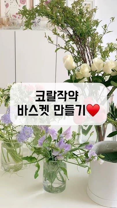 플로리스트 작약바스켓 만들기 플로리스트코랄작약바스켓만들기작약플로리스트브이로그 Florist Flowers Youtube