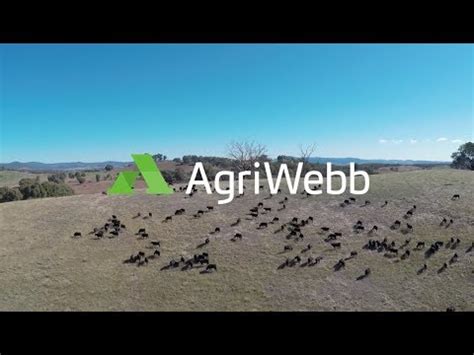 Agriwebb Introduction Livestock Management Software Youtube