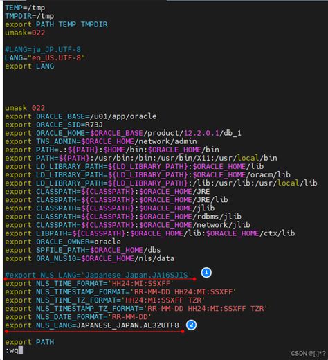 Linux下通过sqlplus连oracle提示字符是乱码 Linux服务器中文出现 Csdn博客