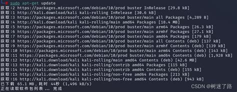 Beef Xss安装与使用beef 有windows系统吗 Csdn博客