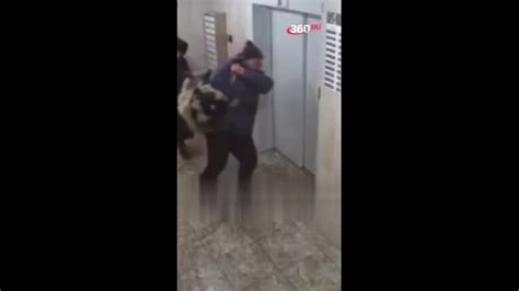 В Красноярске мужчина притащил живого барана Осторожно жизнь