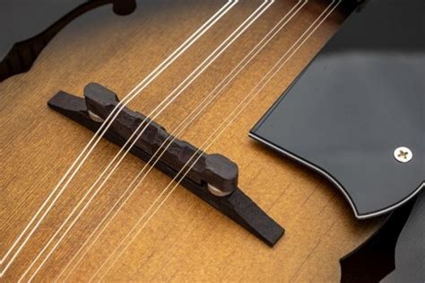 The 7 Best Mandolin Strings Top Models Buyers Guide